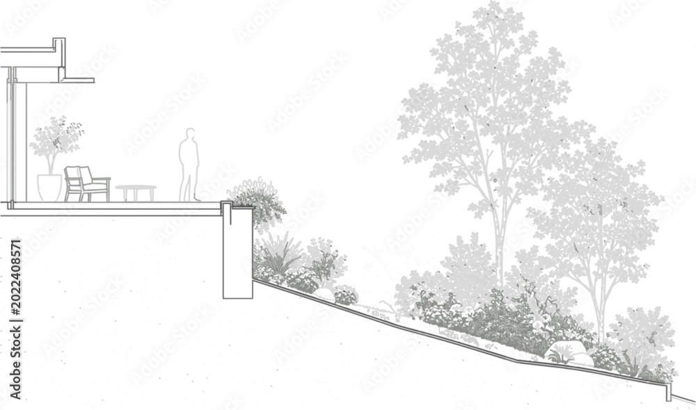 Garden Landscape Plan and Elevation Vector Design with Trees, Pathway ...