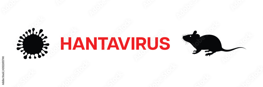 Hantavirus rodent borne virus concept with mouse and pathogen vector ...
