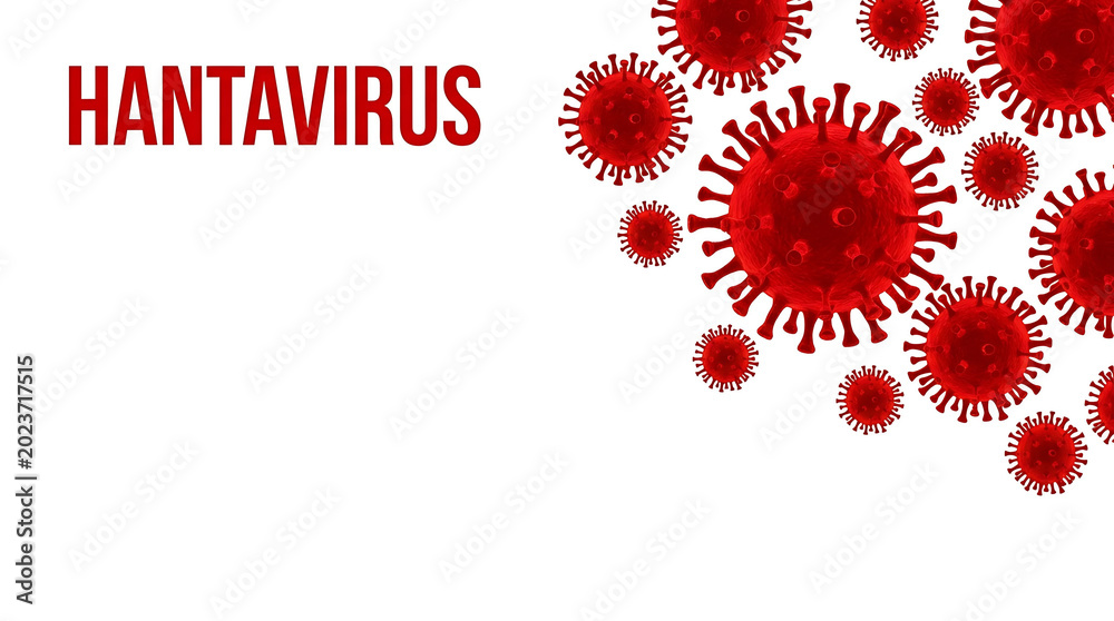 Hantavirus red virus cells on white background in graphic illustration ...