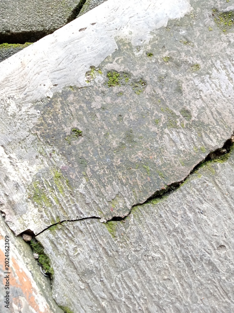 This image shows a cracked concrete surface with green moss growing in ...