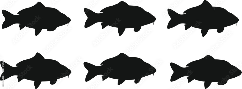 Carp silhouettes collection. Freshwater Carp vector graphics for ...