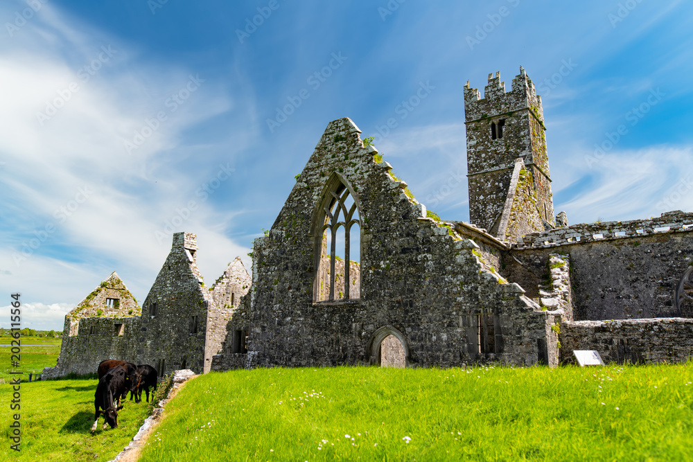 Interior of Ross Errilly Friary near Headford, County Galway, Ireland ...