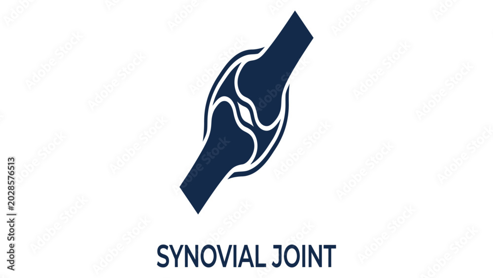 Stock-Vektorgrafik „Synovial joint anatomy diagram illustrates the ...