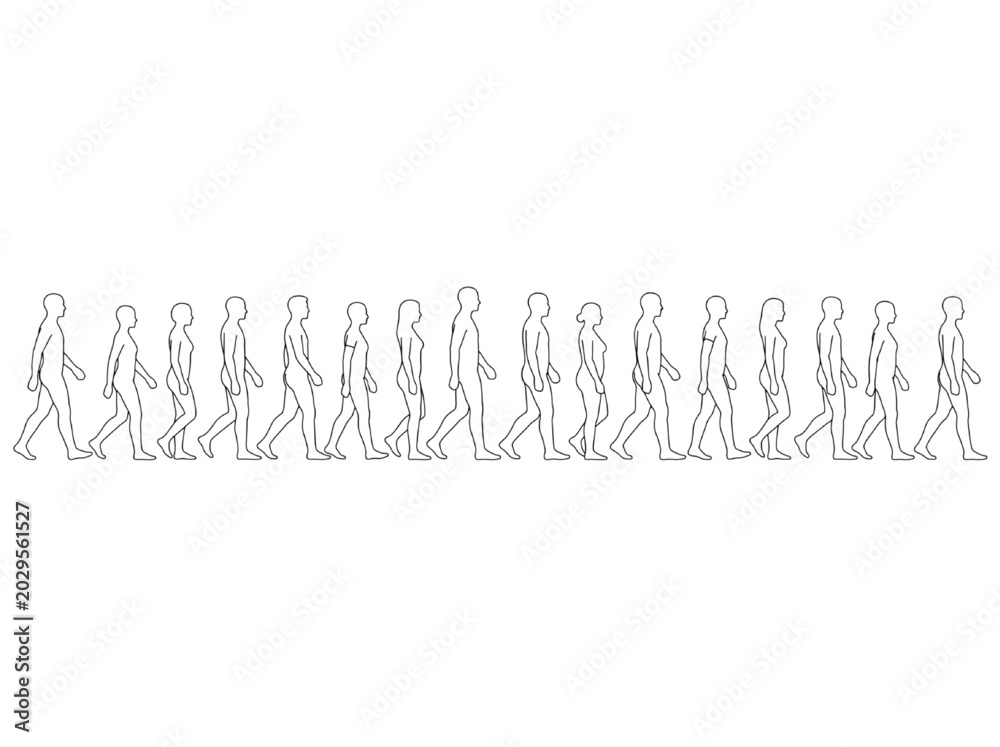 CAD drawing illustrating the full human walking gait cycle, depicting ...
