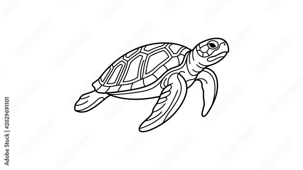 Line drawing of a sea turtle swimming against a plain white background ...