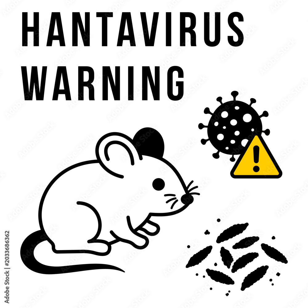 Hantavirus warning illustration with mouse, virus, droppings and hazard ...