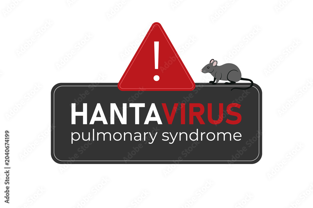 Illustration Stock Hantavirus pulmonary syndrome (HPS). A dangerous ...