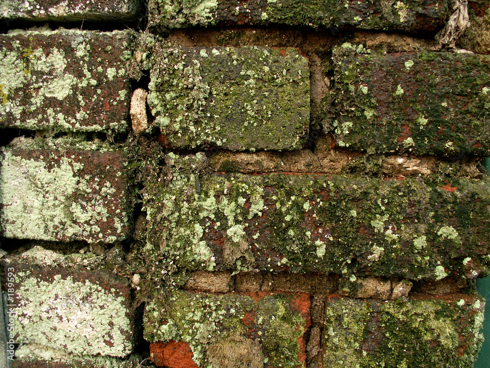 mossy bricks Stock Photo | Adobe Stock