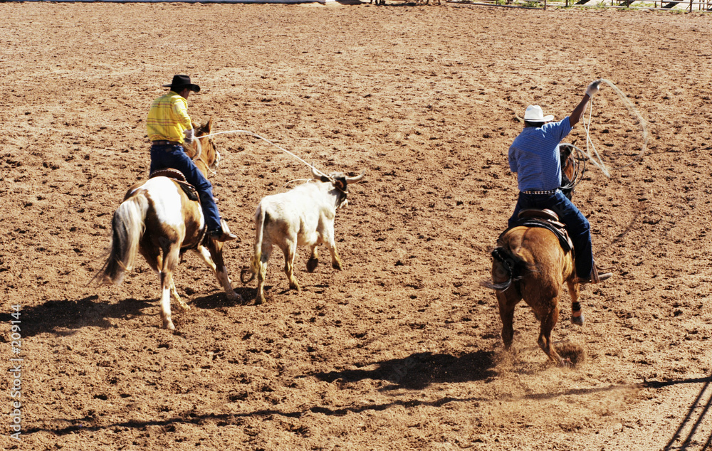 team roping Stock Photo | Adobe Stock