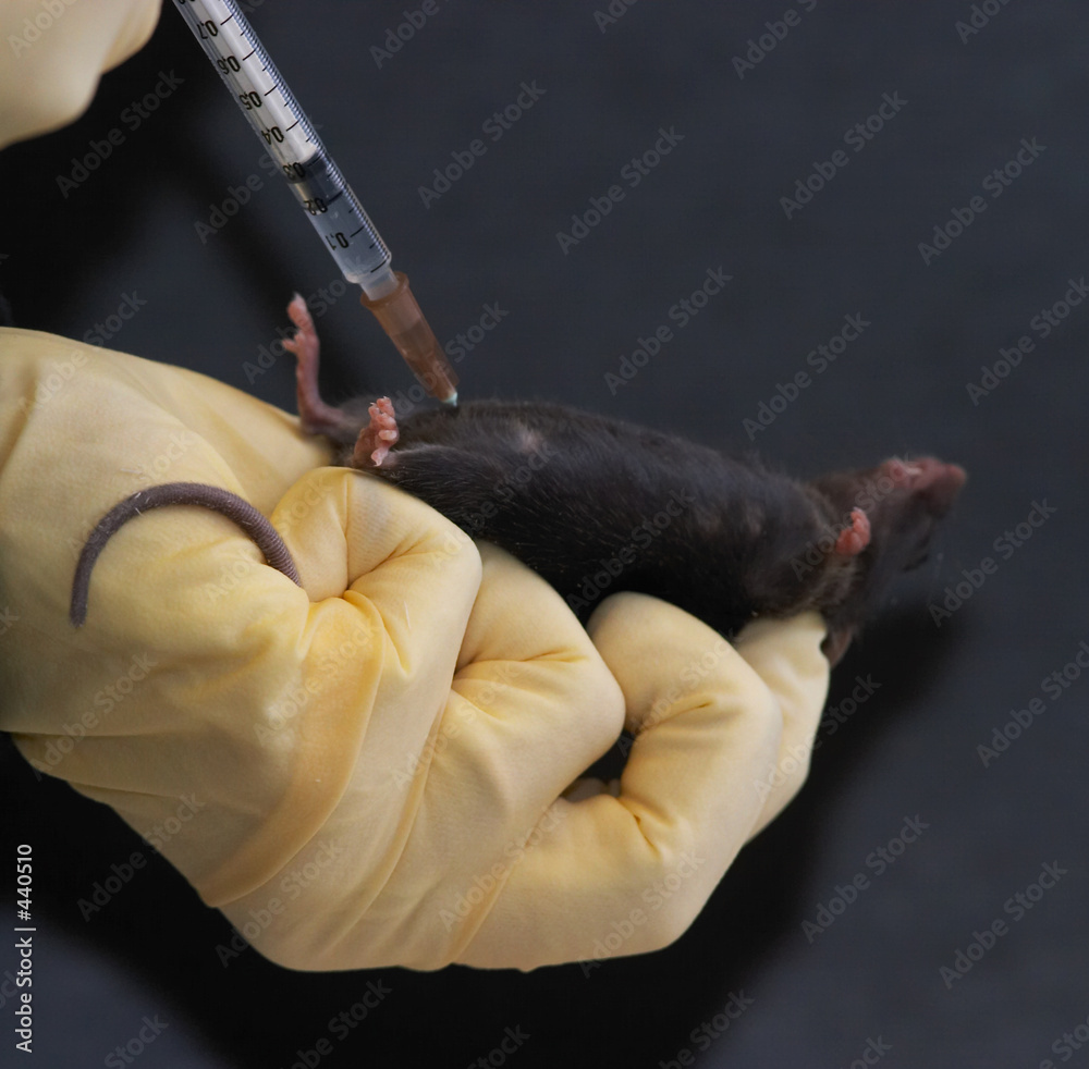 Lab Mice Injection