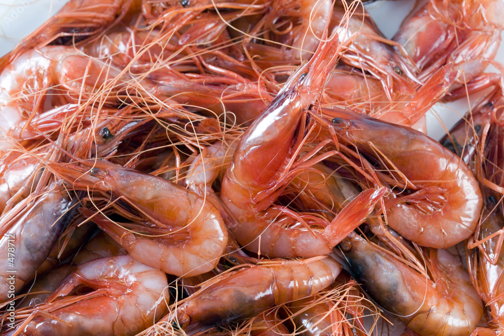 gambas Stock Photo | Adobe Stock