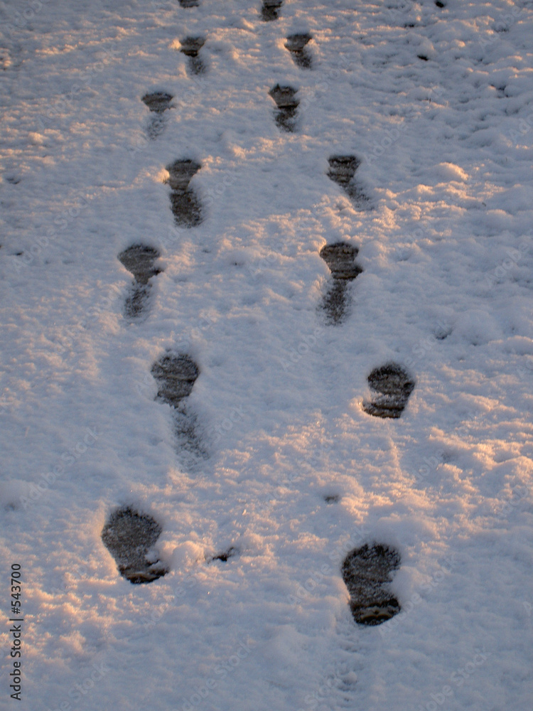 traces de pas dans la neige Photos | Adobe Stock