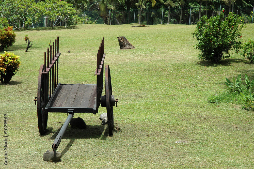 Photo & Art Print charette, Fabrice Climence