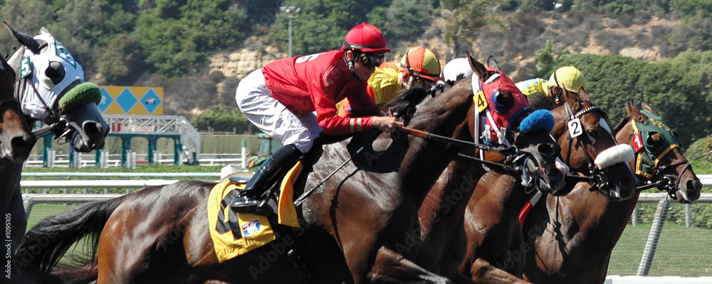 race horses coming out of the gate Stock Photo | Adobe Stock