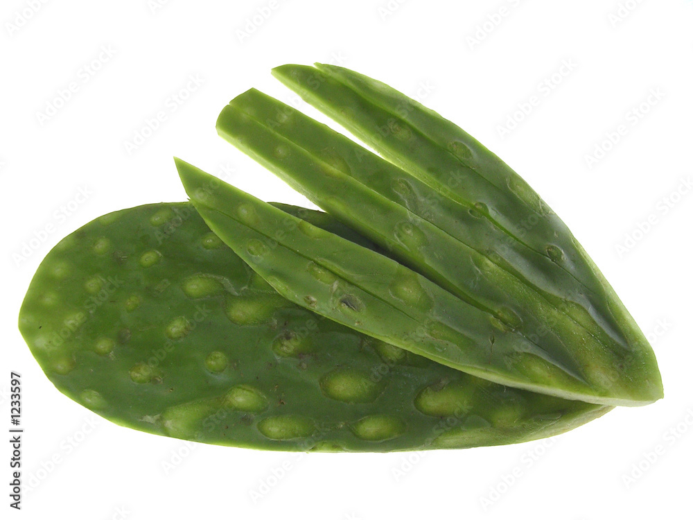 nopal Stock Photo | Adobe Stock