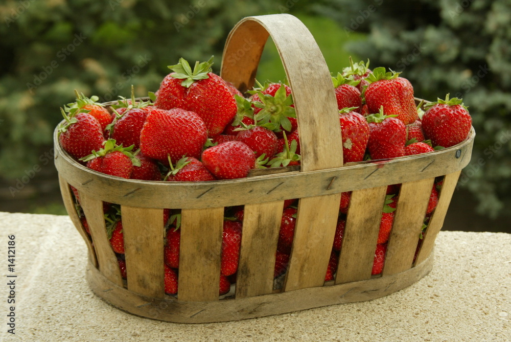 panier de fraise Photos | Adobe Stock