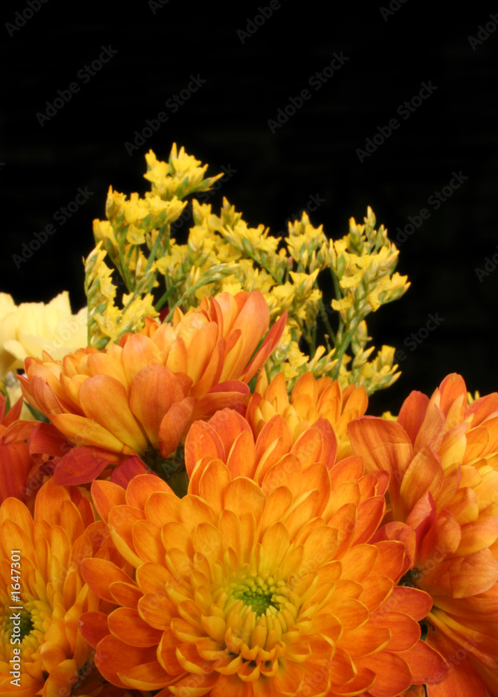 flowers Stock Photo | Adobe Stock