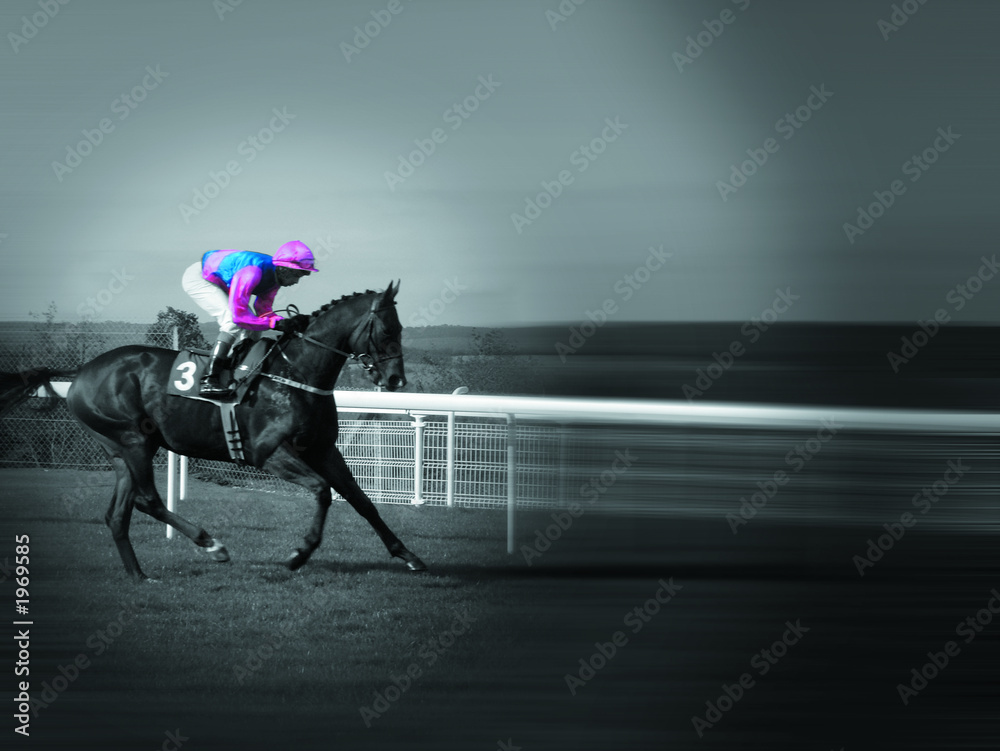 race horse Stock Photo | Adobe Stock