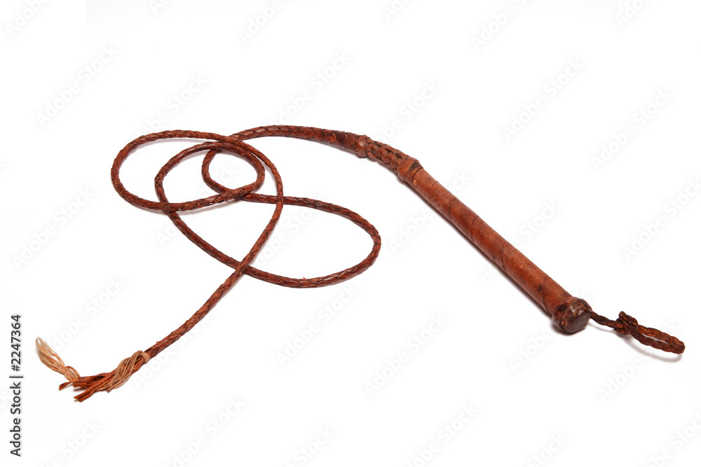 fouet Photos | Adobe Stock