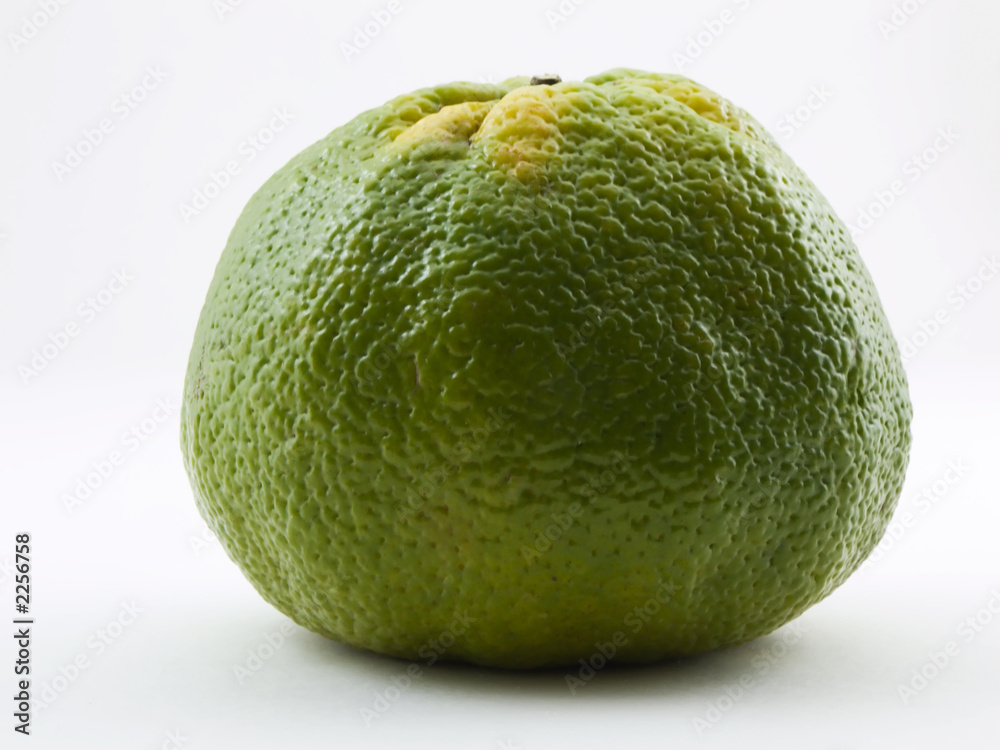 tangelo Stock Photo | Adobe Stock