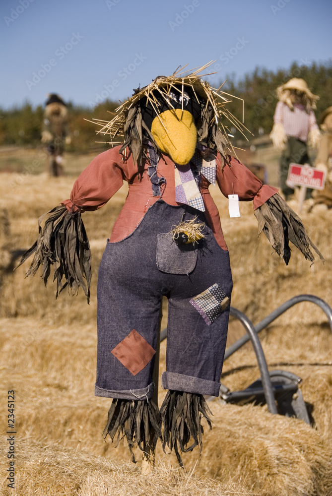 scarecrow bird Stock Photo | Adobe Stock