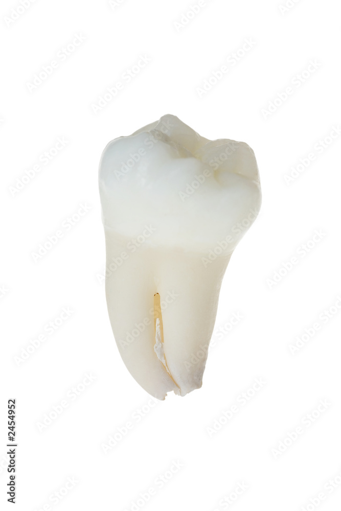 zahn einzeln Stock-Foto | Adobe Stock