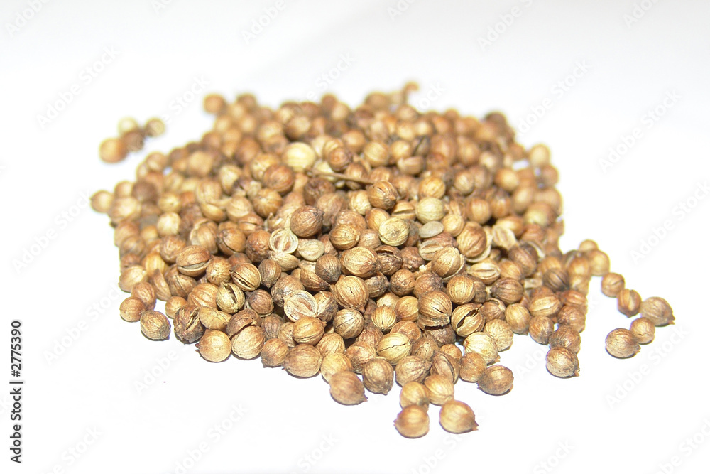 mustard seed Stock Photo | Adobe Stock