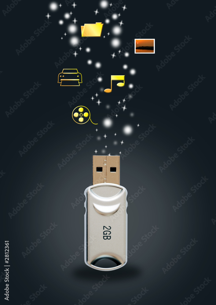 functions of a usb drive / flash disc Stock Illustration | Adobe Stock