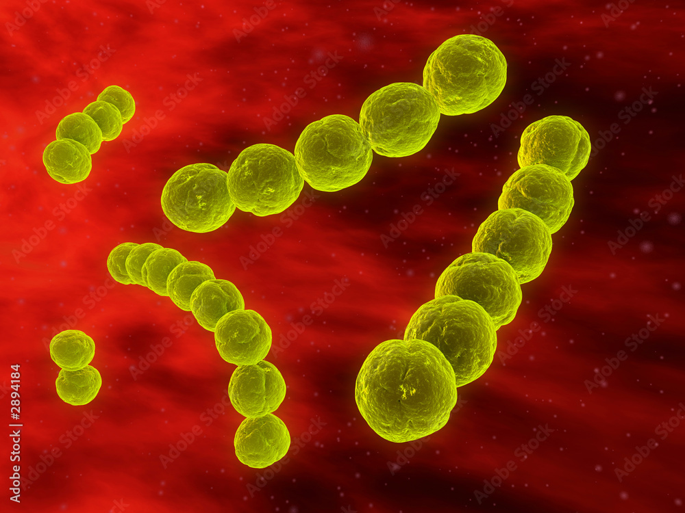streptokokken Stock Illustration | Adobe Stock