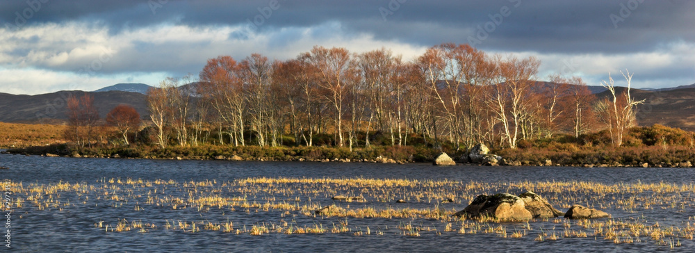 moody scotland Stock Photo | Adobe Stock