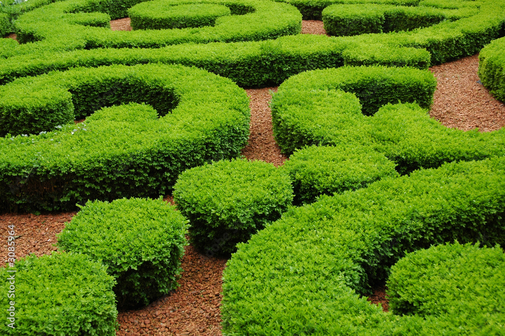 labyrinthe végétal Photos | Adobe Stock