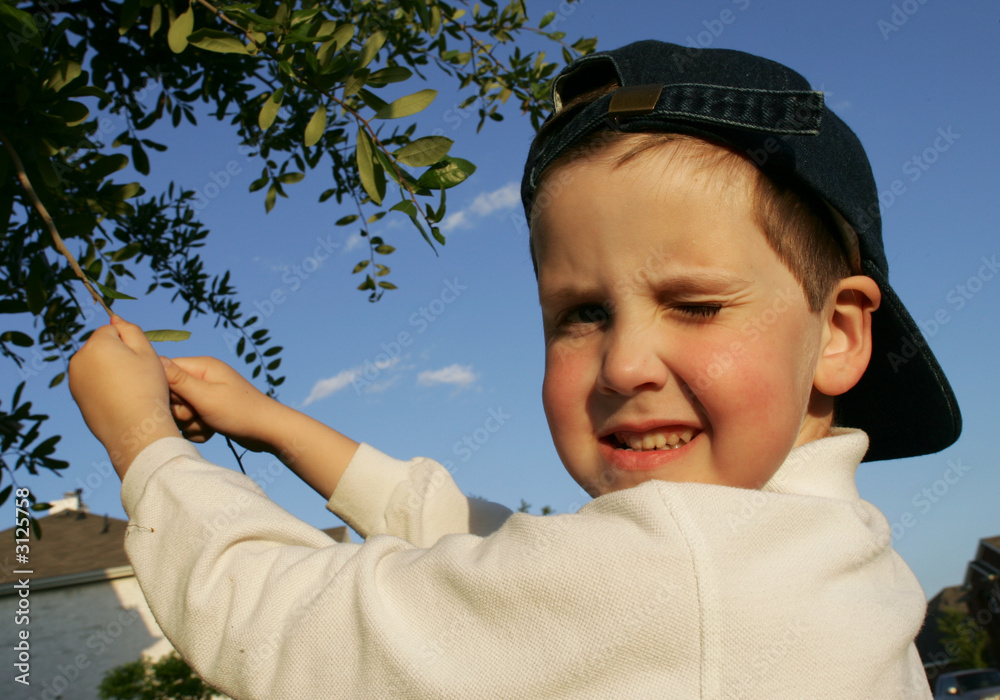 little boy with hat turned backwards playing Stock Photo | Adobe Stock