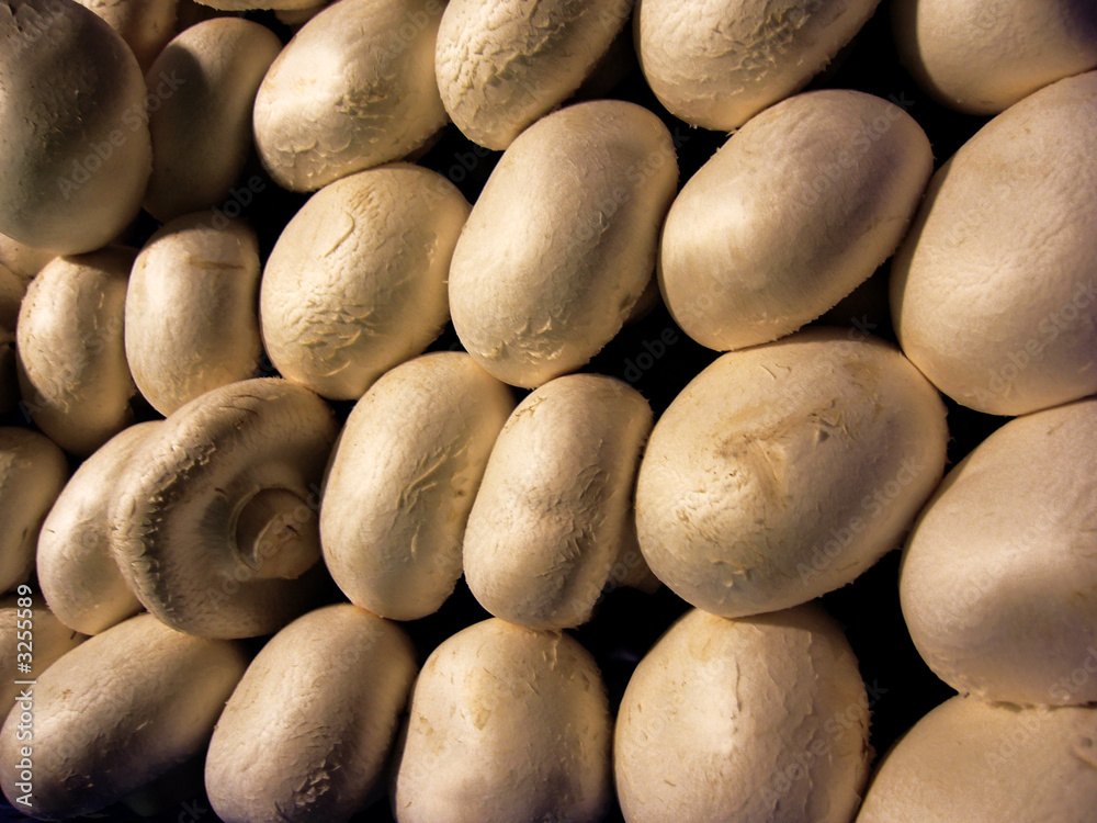 champignons de paris Stock Photo | Adobe Stock