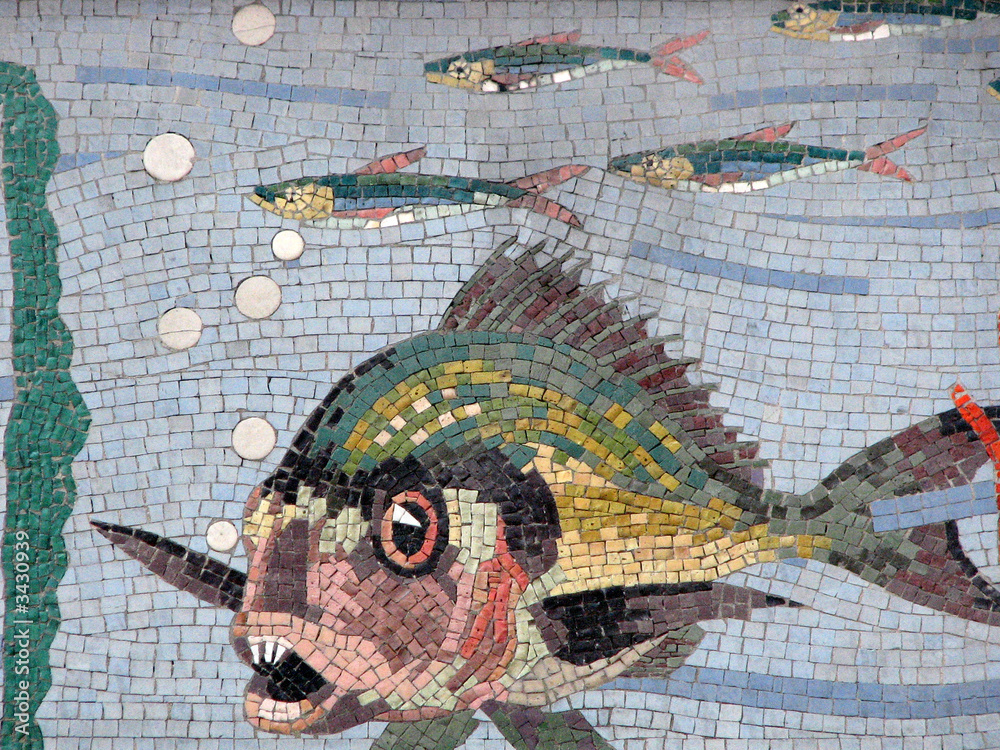 poisson - mosaique huitrière Photos | Adobe Stock