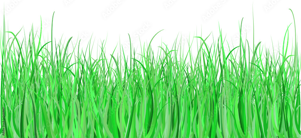 Blade Of Grass Vector