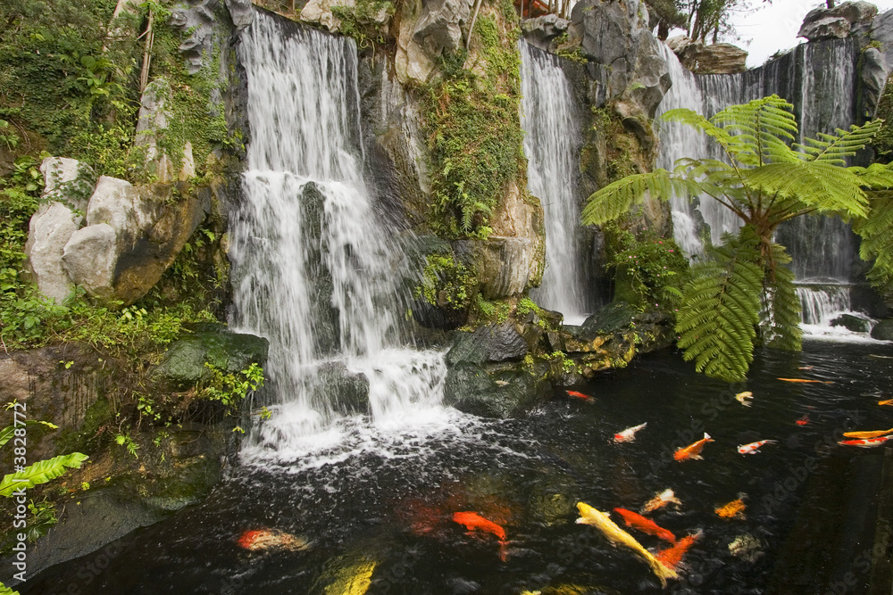 Koi fish pond with waterfalls in a Chinese Buddhist temple Stock Photo ...