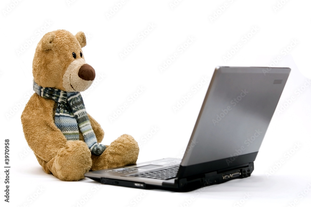 Teddy Bear On Computer