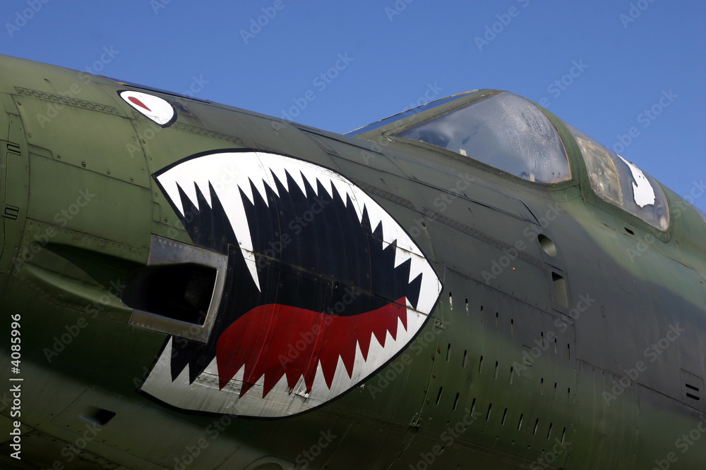 shark teeth nose art Stock Photo | Adobe Stock