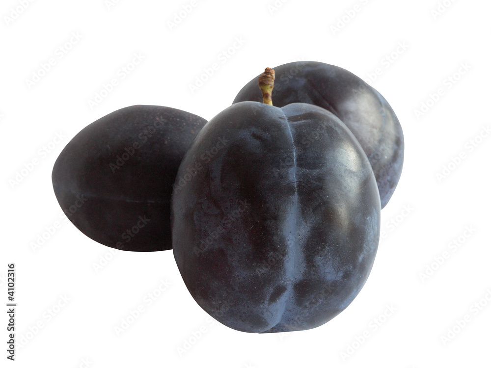 Poster Plum – Wall Art | UkPosters