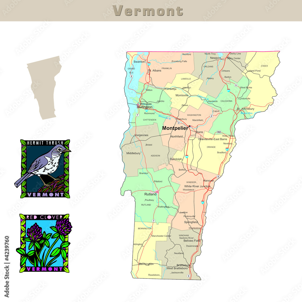 USA states series: Vermont. Political map with counties ilustração do ...