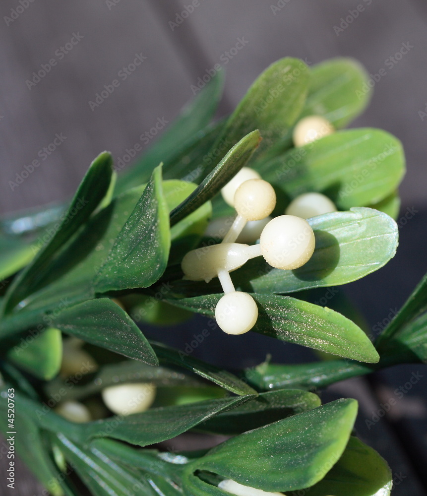plastic mistletoe Stock Photo | Adobe Stock