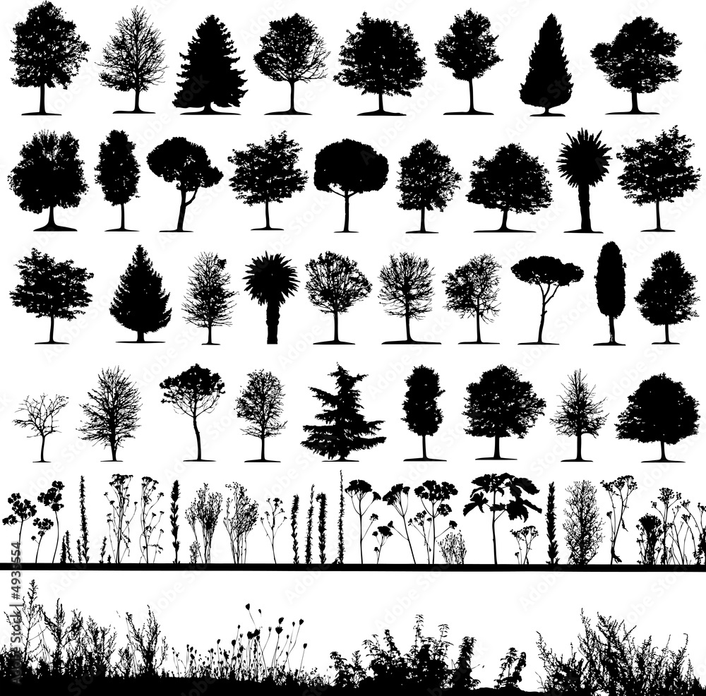 Vector trees Stock Illustration | Adobe Stock