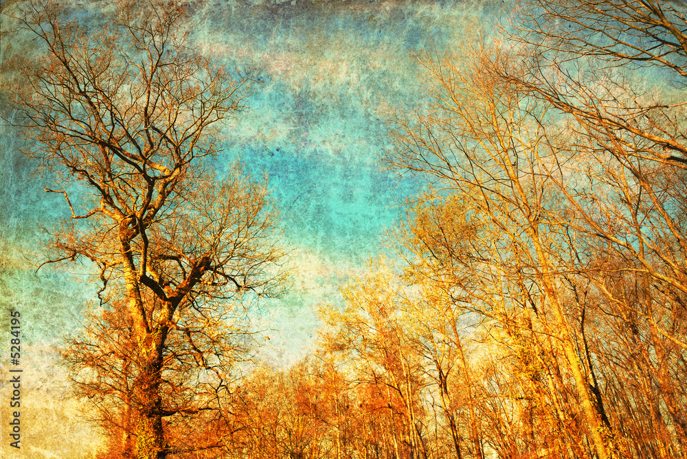 old-fashioned landscape Stock Photo | Adobe Stock