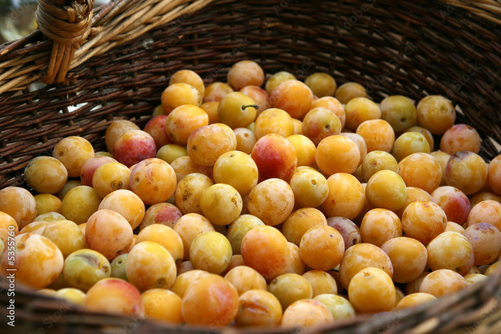 Mirabellen Stock Photo | Adobe Stock