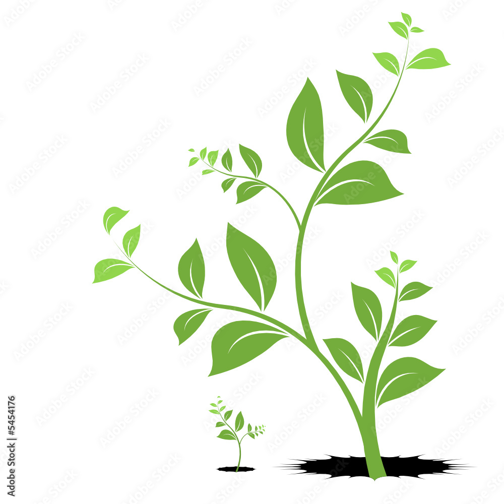 plante vecteur, jeune pousse symbole de vie et de naissance Stock ...