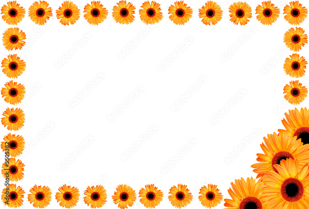 Flower Border Yellow Corner Stock Photo | Adobe Stock