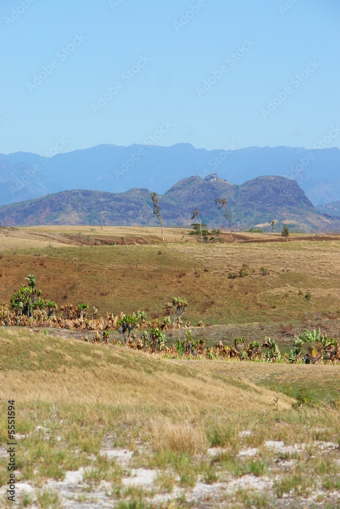 expedition dans la savane africaine Stock Photo | Adobe Stock