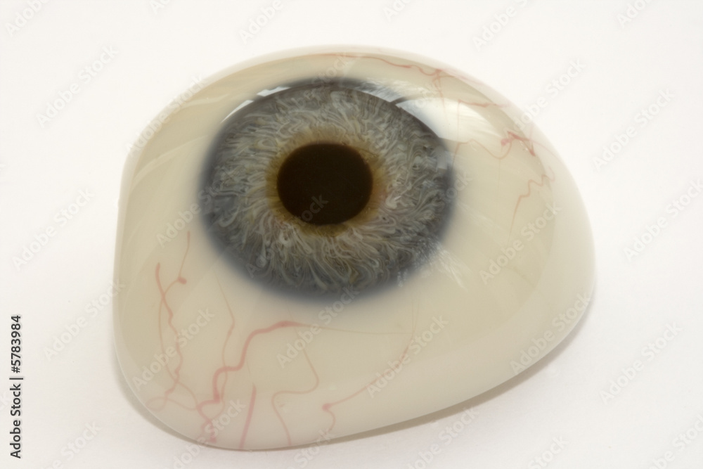 Prosthetic eye Stock Photo | Adobe Stock