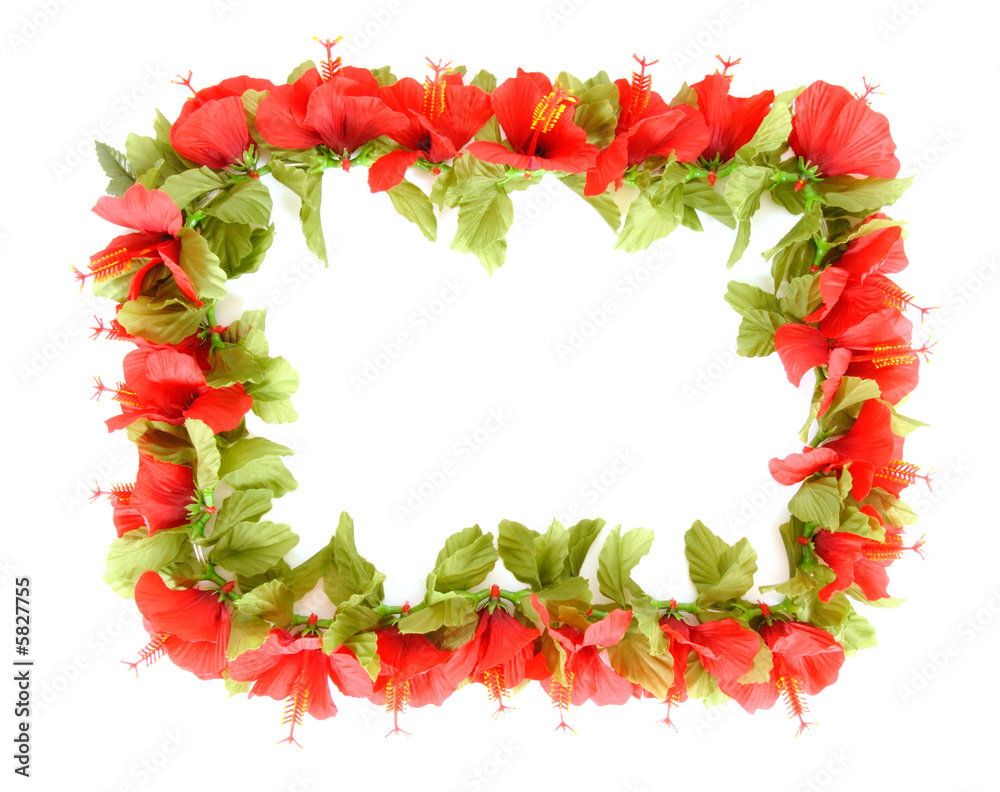 Red Hibiscus Lei Frame Stock Photo | Adobe Stock