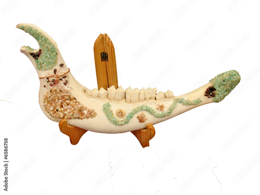 Buffalo Jaw Bone Stock Photo | Adobe Stock